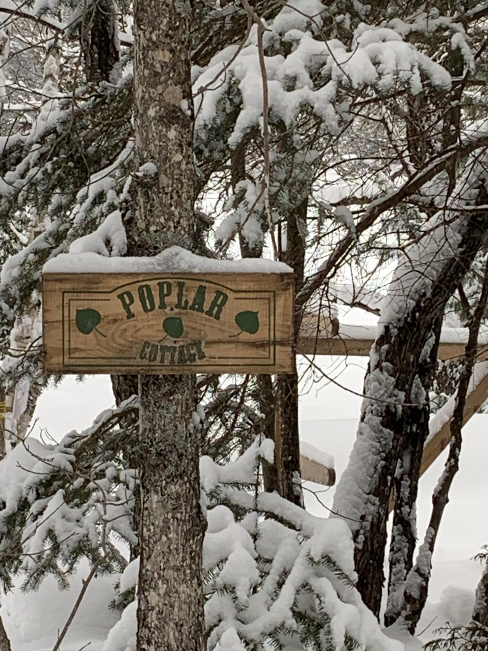 Poplar | Oxbow Lakeside Community Club